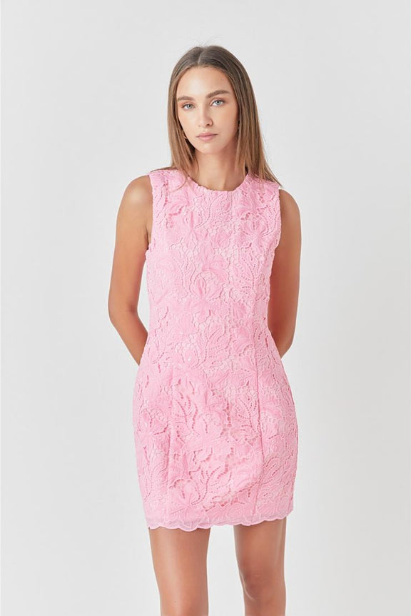 Isabelle Lace Shift Dress - Pink – Pippa & Pearl